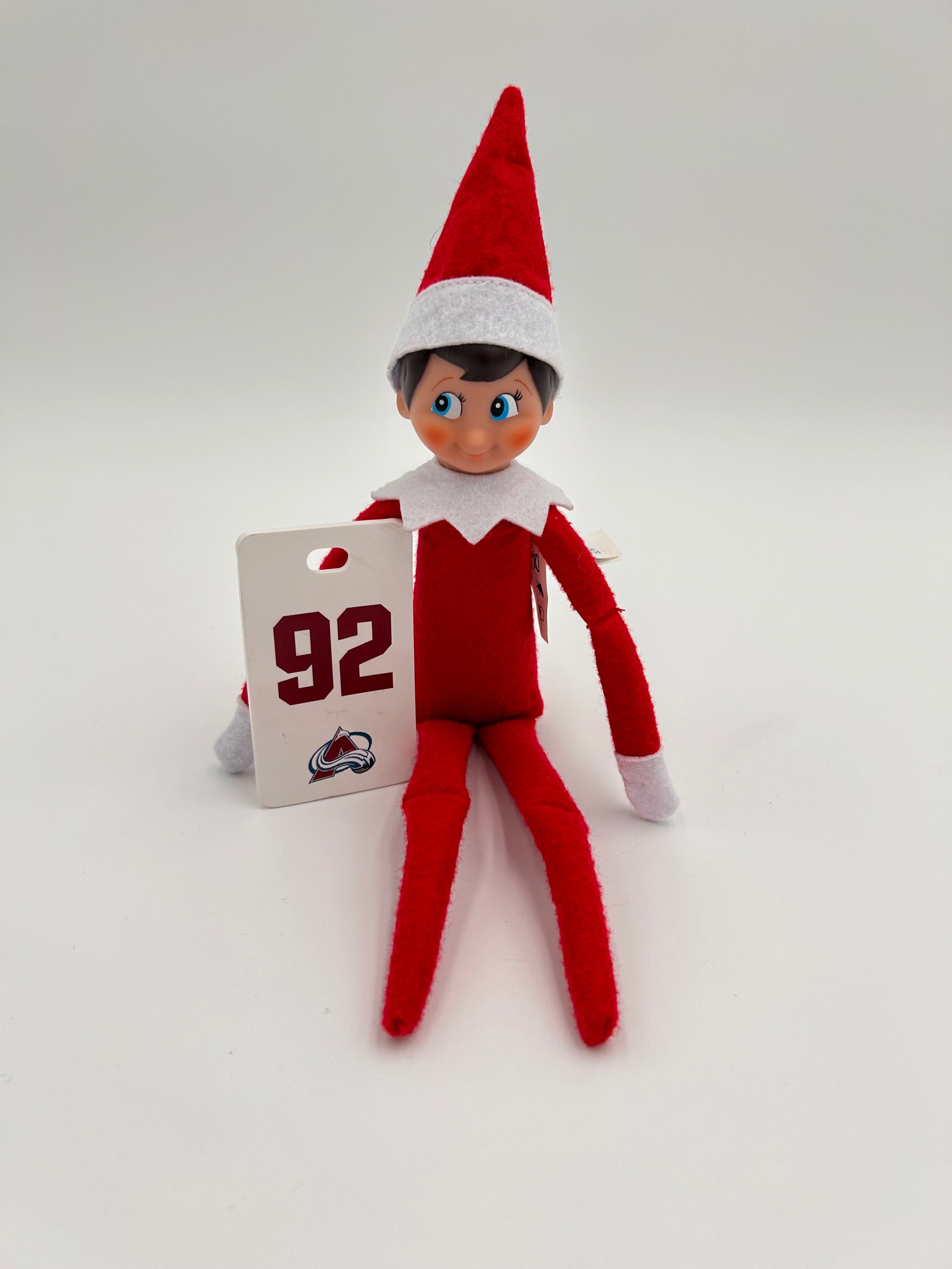 Colorado Avalanche Player Bag Tag – Pond of Dreams